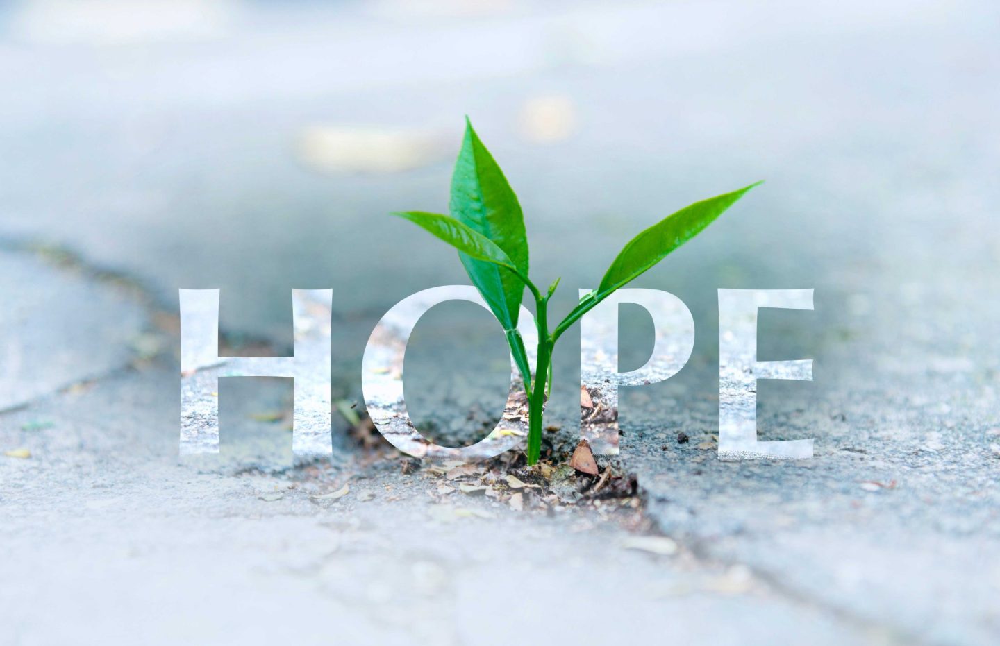 The Death of Despair – A Taste of Grace with Bruce Green