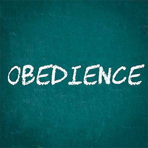 Blessing or Burden? – A Taste of Grace with Bruce Green